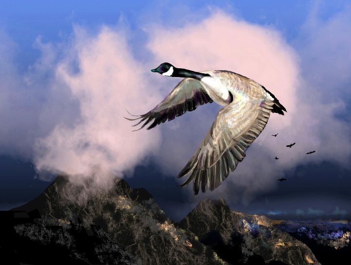 Canada goose - imaginart - Digital Art & AI, Animals, Birds, & Fish ...