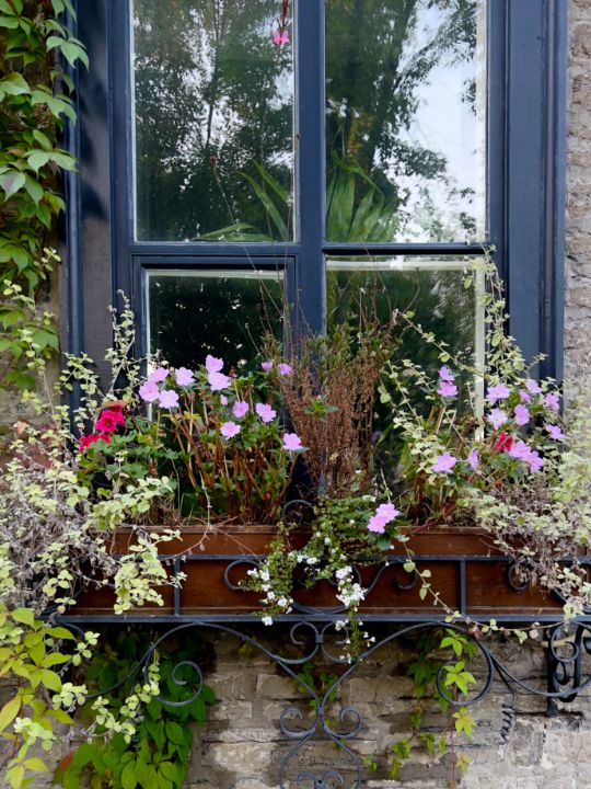 Flowery window sill - imaginart - Photography, Buildings & Architecture ...