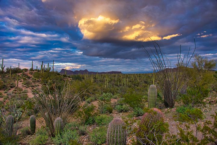 Tucson Mountain Park Sunset - Zahnscapes - Photography, Landscapes ...