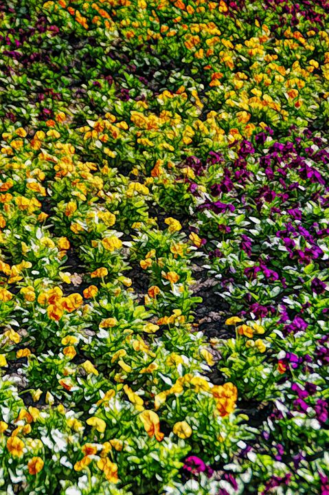 FWC Garden Flowers - Aimee L Maher - Photography, Flowers, Plants ...