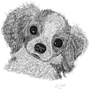 Scruff - Helen Peckett - Digital Art, Animals, Birds, & Fish, Dogs ...