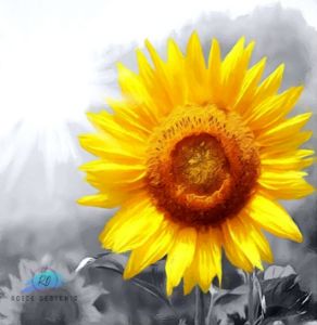 Array of Color by Roice Designs - Digital Art & AI
