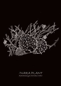 Namibian Nomad - Drawings & Illustration