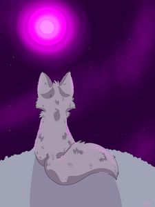 Spacefox 2 - Anna Valdez - Digital Art, Fantasy & Mythology, Magical ...