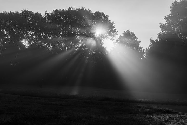 Running Sun - Aleksander Solarski - Photography, Landscapes & Nature ...