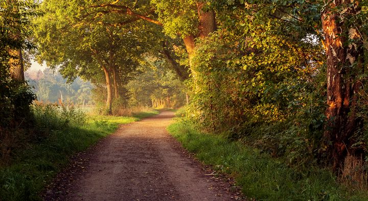 The Long Path of Daylight - Aleksander Solarski - Photography ...