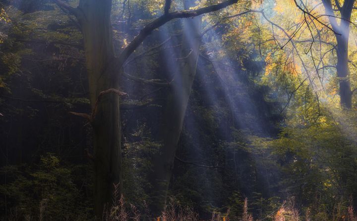 Haze of Light - Aleksander Solarski - Photography, Landscapes & Nature ...