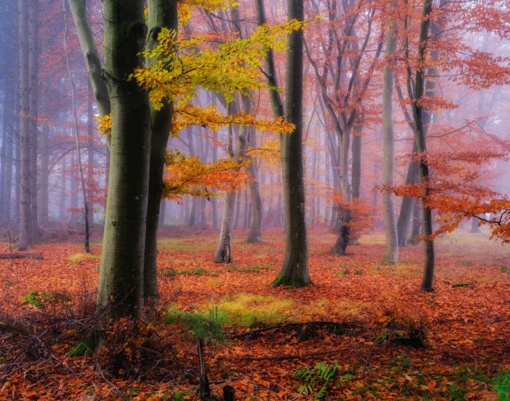 November Zone - Aleksander Solarski - Photography, Landscapes & Nature ...