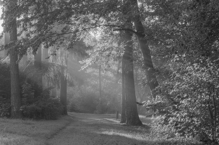 A Tale of Subtle Light and Shadow - Aleksander Solarski - Photography ...