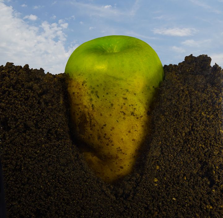 Pomme de terre - Si Glogiewicz Photography - Photography, Abstract ...