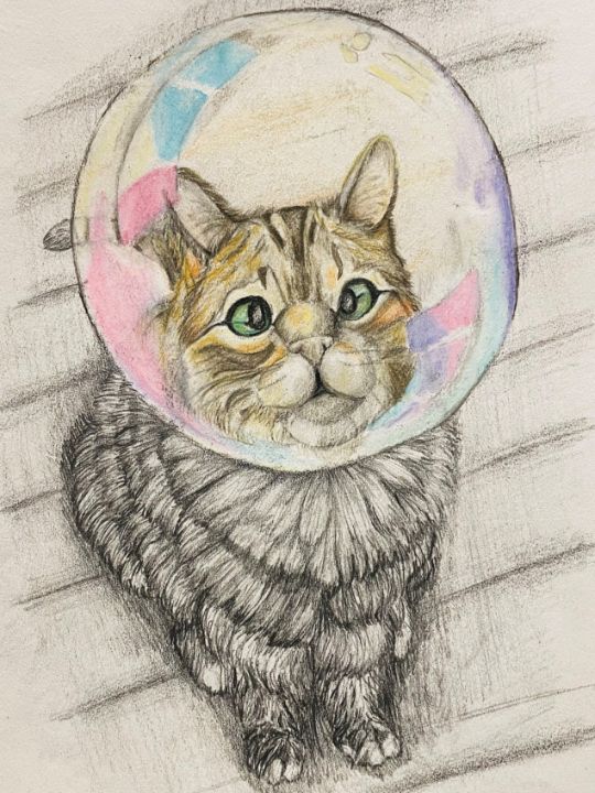 Bubble Cat - Sweet Old Soles by Mieren Brown - Drawings & Illustration ...
