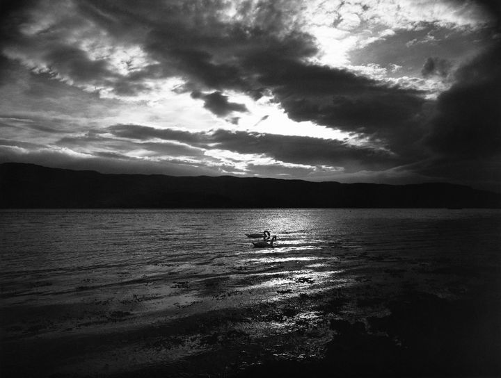 John Allen Photography - Photography