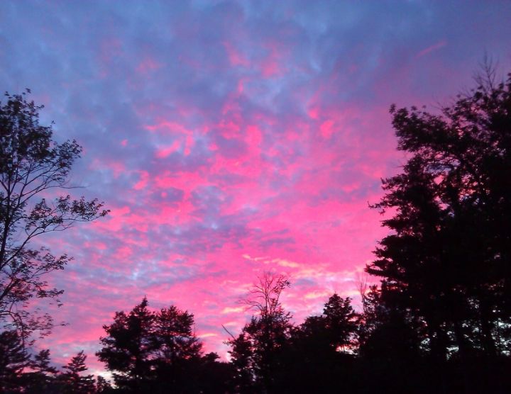 Magnificent Pink and Blue September - P J Holt Photography ...