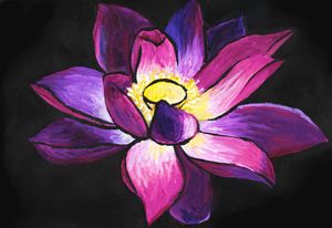 Sarah Riebe - Drawings & Illustration, Photography, Paintings & Prints