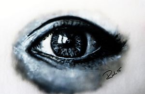 Sarah Riebe - Drawings & Illustration, Photography, Paintings & Prints