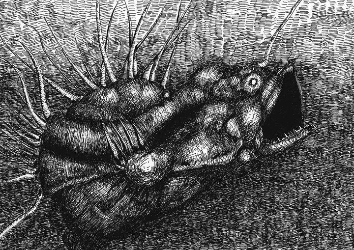Abyssal Obsession - Aslake - Drawings & Illustration, Animals, Birds ...