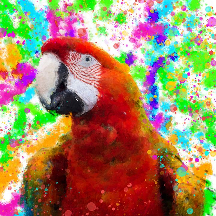 Parrot 1. - Alexandra Arts - Paintings & Prints, Animals, Birds, & Fish ...