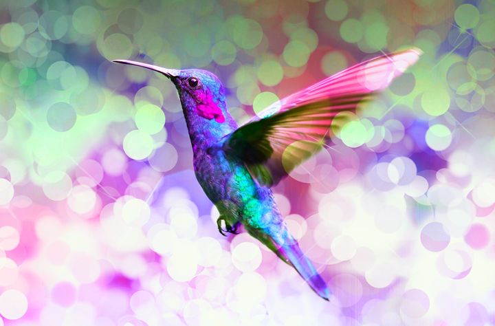Flying hummingbird 3. - Alexandra Arts - Paintings & Prints, Animals ...