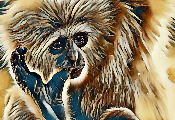 Attentive monkey - Alexandra Arts - Paintings & Prints, Animals, Birds ...