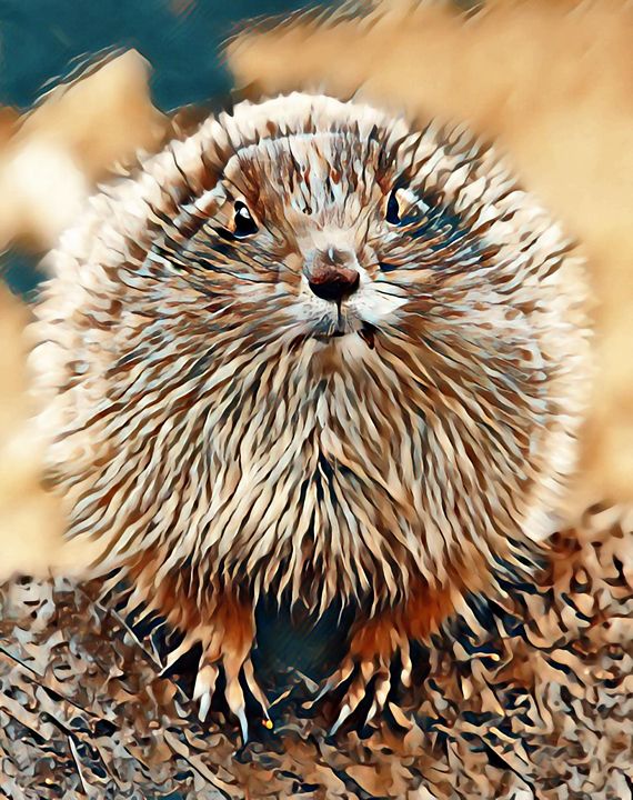 Funny gopher - Alexandra Arts - Paintings & Prints, Animals, Birds ...
