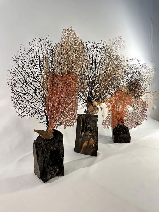 Corol - Sculptures & Carvings