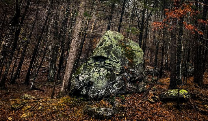Boulder in Woods - Kendall Tabor Jr. - Photography, Landscapes & Nature ...