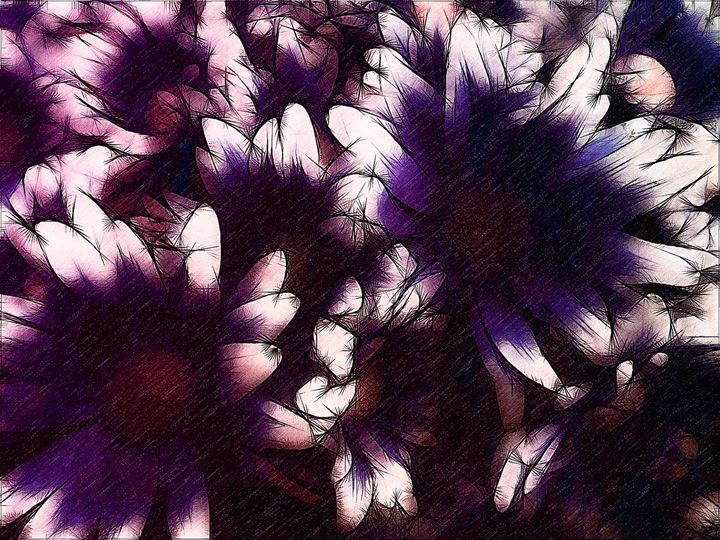 Daisy flowers - Purple - CLA - Drawings & Illustration, Flowers, Plants ...