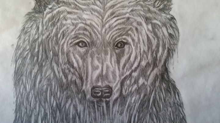 Grizzly In The River - Wild Rustic Art - Drawings & Illustration ...