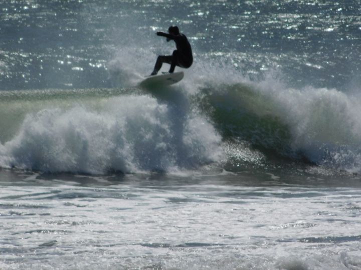 Susan Testa - Photography