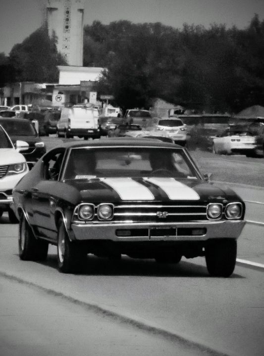 Chevy Chevelle - Photography by Tracy Rose - Photography, Vehicles & Transportation, Automobiles ...