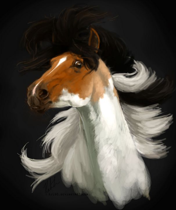 Wild Pinto - KJL ART - Digital Art & AI, Animals, Birds, & Fish, Horses ...