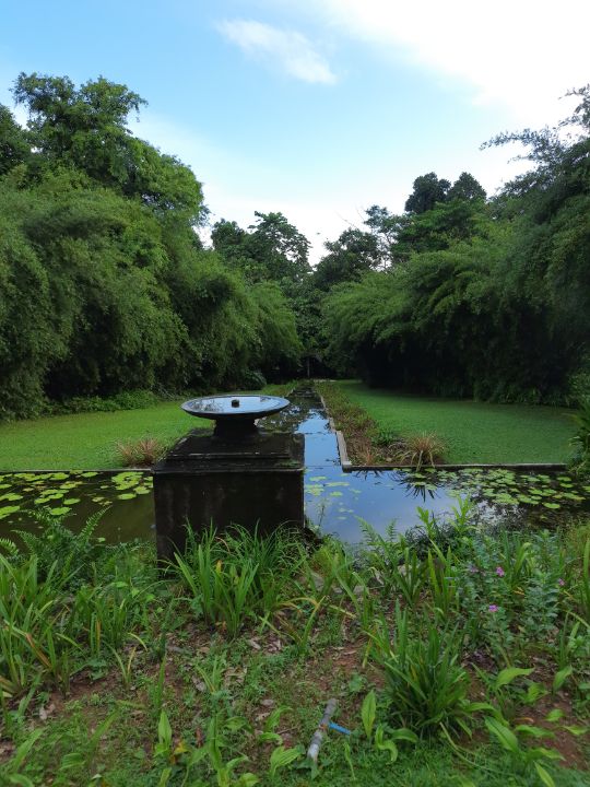 Greenery - The life - Photography, Landscapes & Nature, Other ...