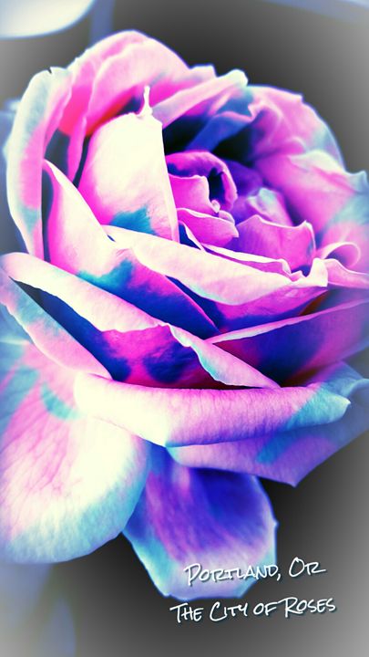 Portland, OR City of Roses - ANM ART - Digital Art & AI, Flowers ...