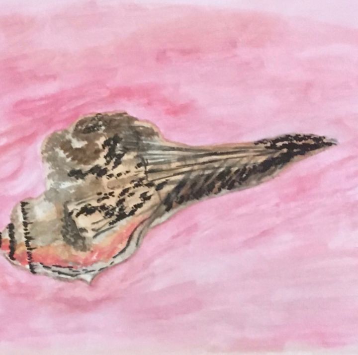 Seashell Series 1 - Nat In Plein Air - Paintings & Prints, Landscapes ...