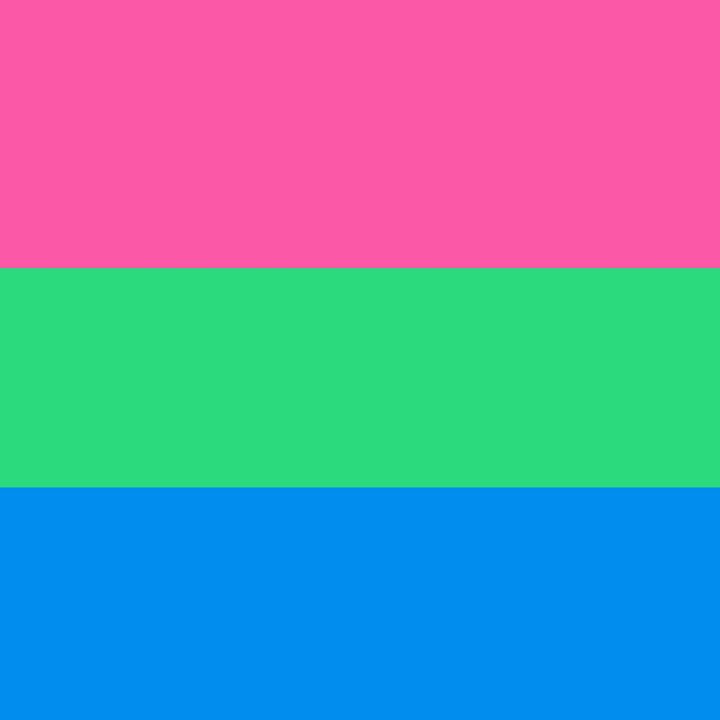 Polysexual Flag