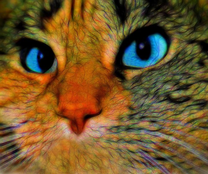 Cat Portrait #720 William Kaluta Art - William Kaluta Art - Paintings ...