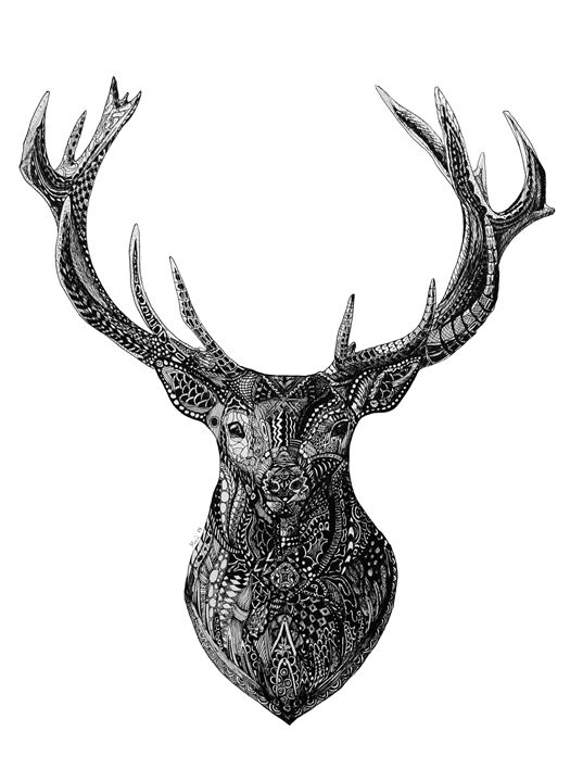 Zentangle Deer - Iclimbpyramids - Paintings & Prints, Animals, Birds, & Fish, Deer - ArtPal