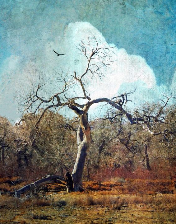 Split tree - The River's Daughter Digital Art - Digital Art & AI ...