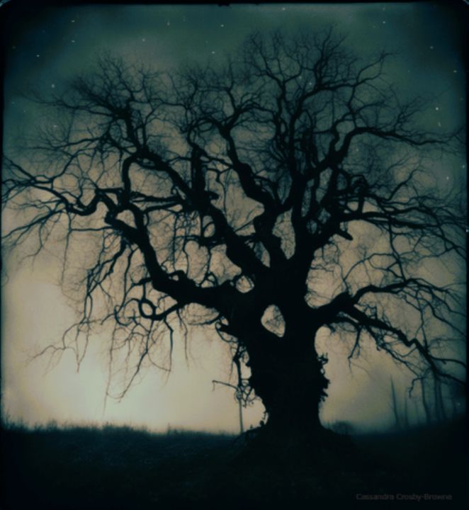 Large Creepy Tree - Cassandra Crosby-Browne - Digital Art & AI ...