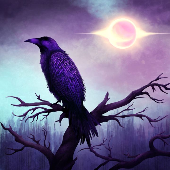 Ravens Birds Art