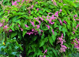 Art by Isabelle Hodge - Photography, Digital Art & AI, Paintings ...