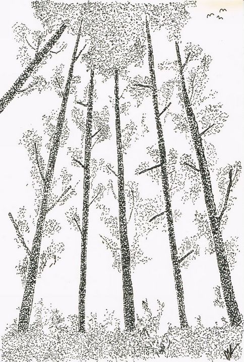 Into the woods - David's Art - Drawings & Illustration, Flowers, Plants ...