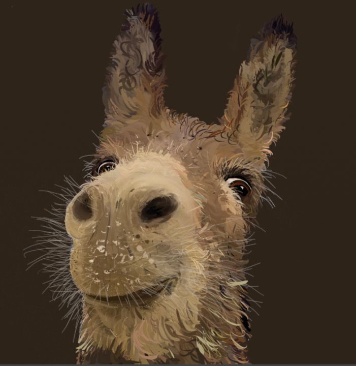 Donkey Face - ArtbyJonz - Paintings & Prints, Animals, Birds, & Fish ...