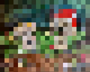 Sarah Bolyard - Paintings & Prints