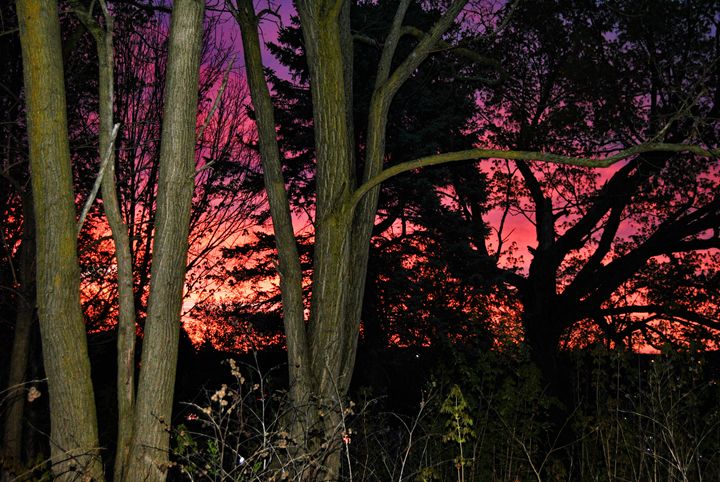Firey Sunrise - CreativeSoul - Photography, Landscapes & Nature, Other ...