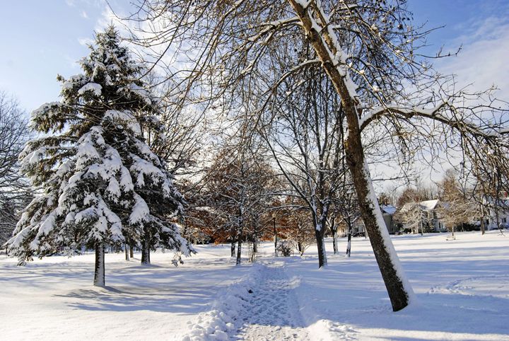 A Winter Stroll - CreativeSoul - Photography, Landscapes & Nature ...