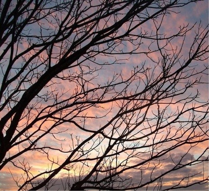 Delta Sunset - CreativeSoul - Photography, Landscapes & Nature ...