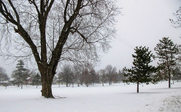 Snow Day - CreativeSoul - Photography, Landscapes & Nature, Other ...