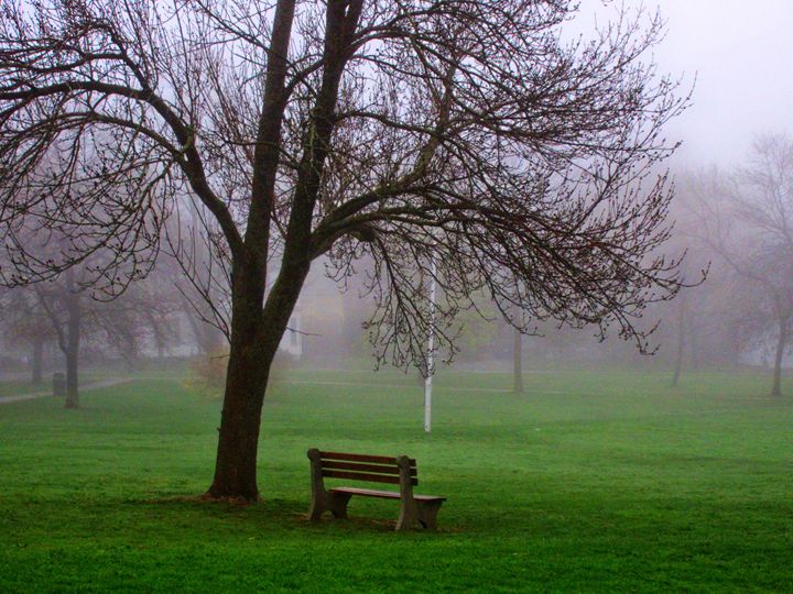Foggy Spring Morning - CreativeSoul - Photography, Landscapes & Nature ...