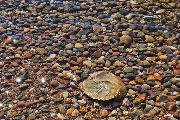Shoreline Underwater Stones - CreativeSoul - Photography, Landscapes ...